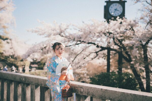 Traditional Japanese Art Forms: History, & Cultural Significance