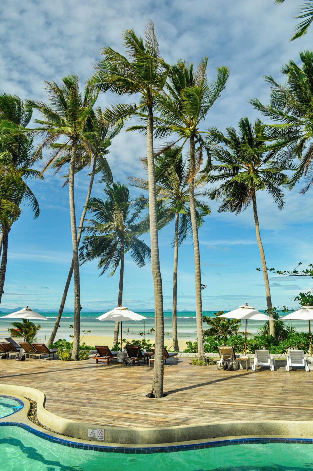 Best Time to Visit Koh Samui: Weather, Travel Tips, & Guide