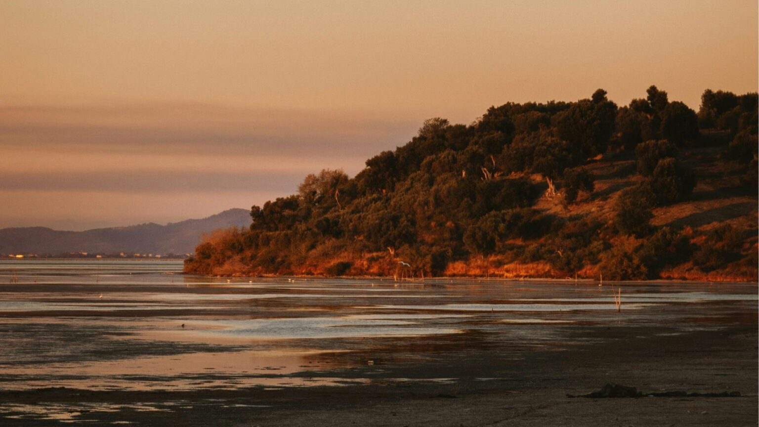 Secret Night Adventures in Vlorë for Every Traveler in 2026